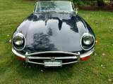 Jaguar E-Type Oldtimer kaufen - Classic Trader