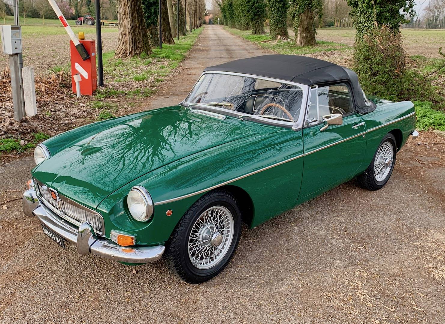 1964 Mg