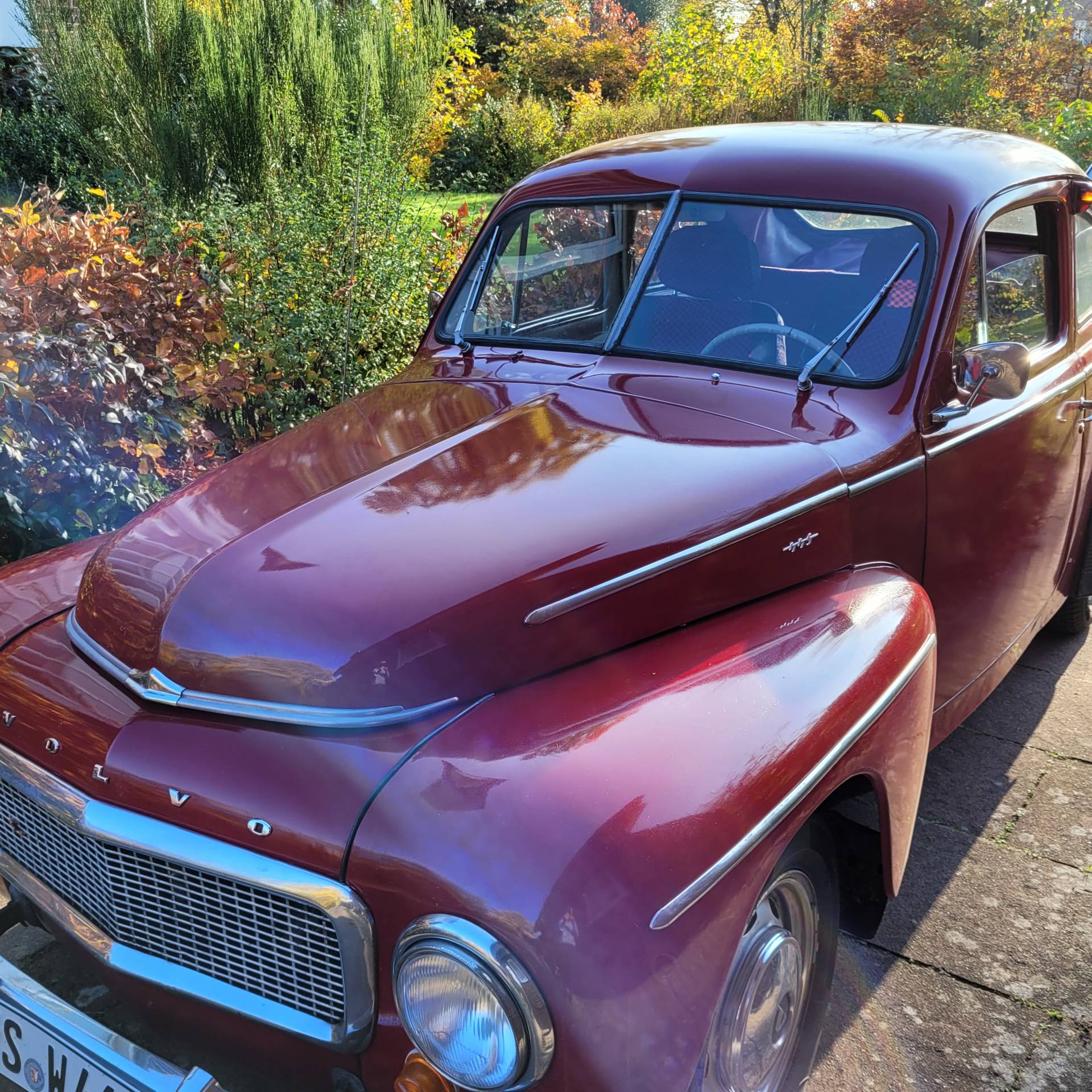 For Sale: Volvo PV 444 (1955) offered for AUD 14,619