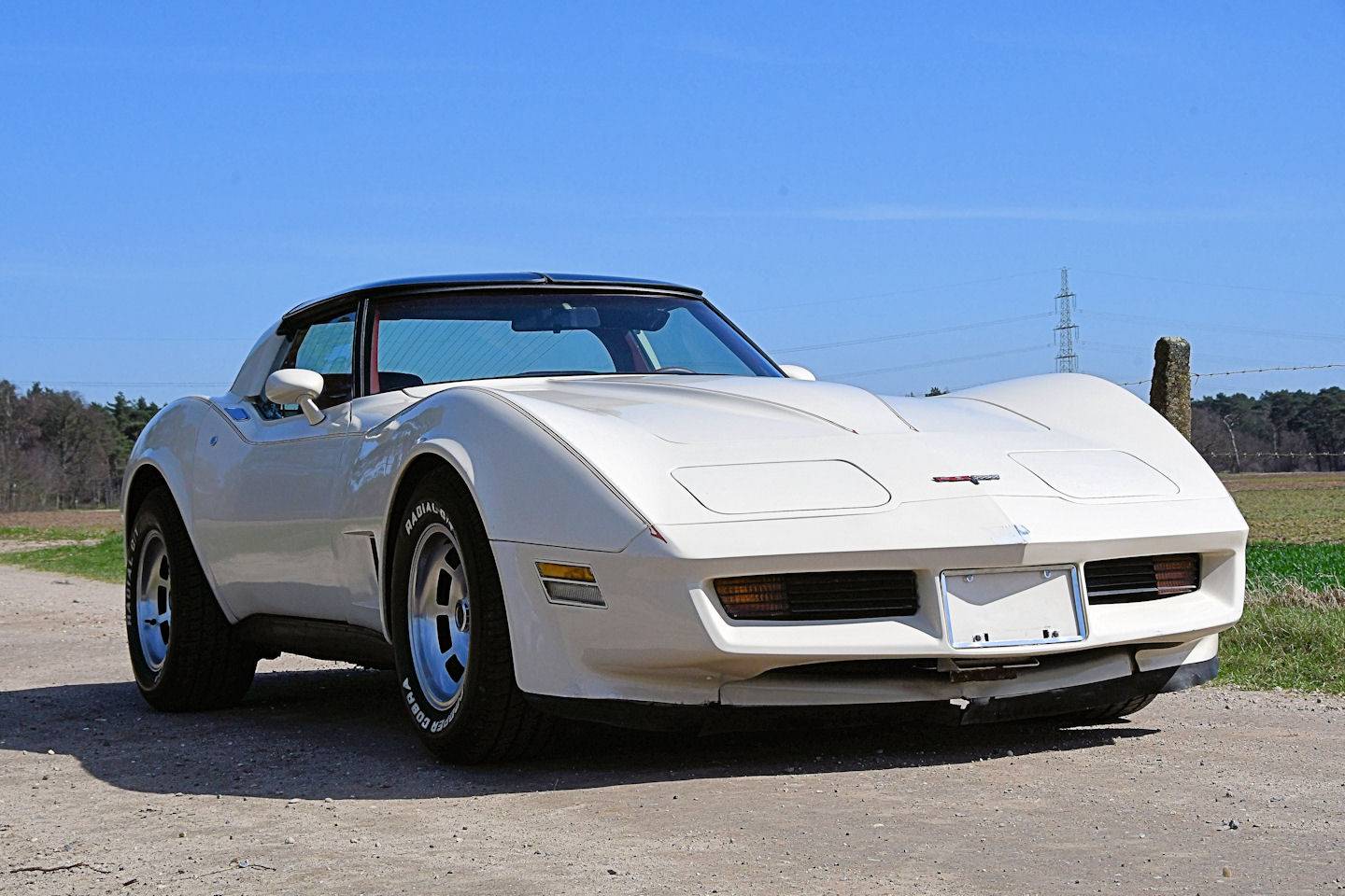 For Sale: Chevrolet Corvette Stingray (1981) offered for GBP 14,668
