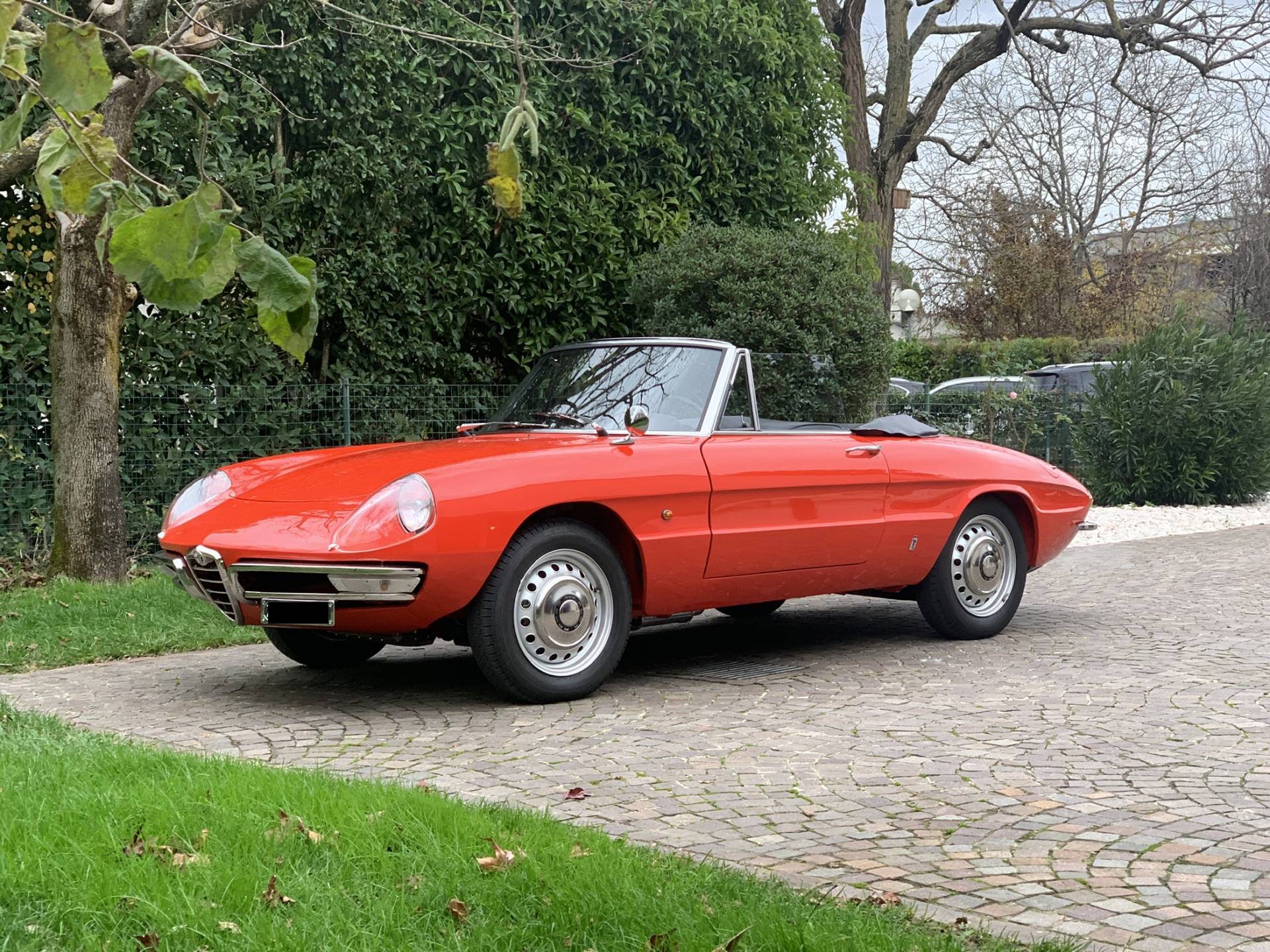 For Sale: Alfa Romeo 1600 Spider Duetto (1967) offered for AUD 104,852