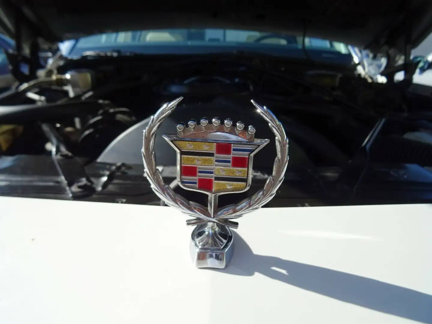 Cadillac Brougham Elegance (1992) in vendita a 18.500