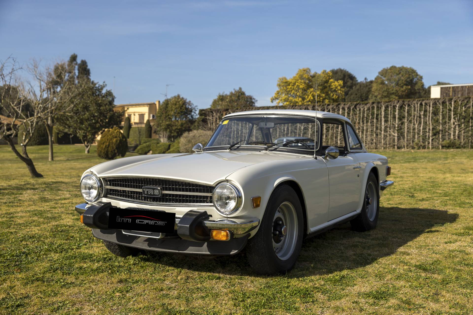 Triumph TR 6 Classic Cars for Sale - Classic Trader