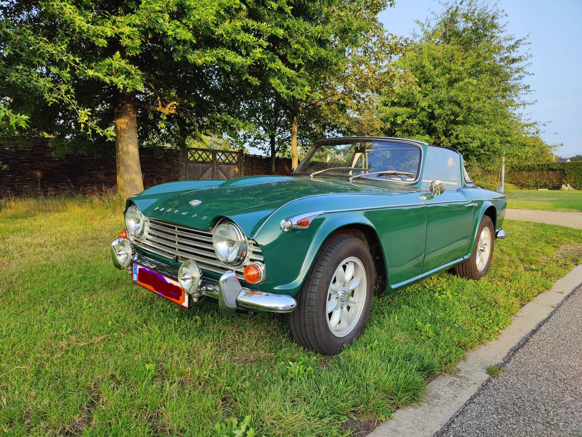 Triumph TR 4 Classic Cars for Sale - Classic Trader