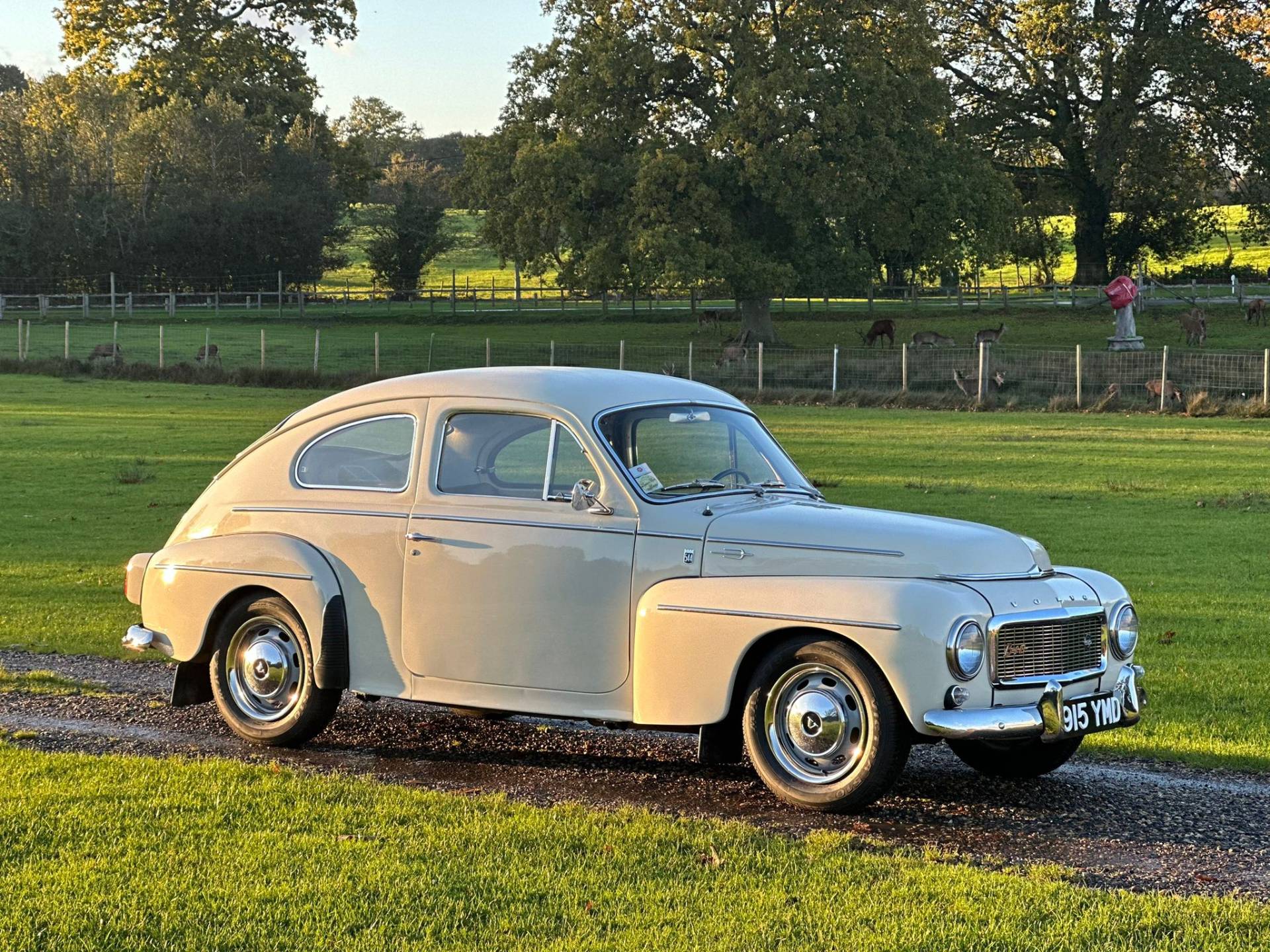 For Sale: Volvo PV 544 (1963) offered for £22,995