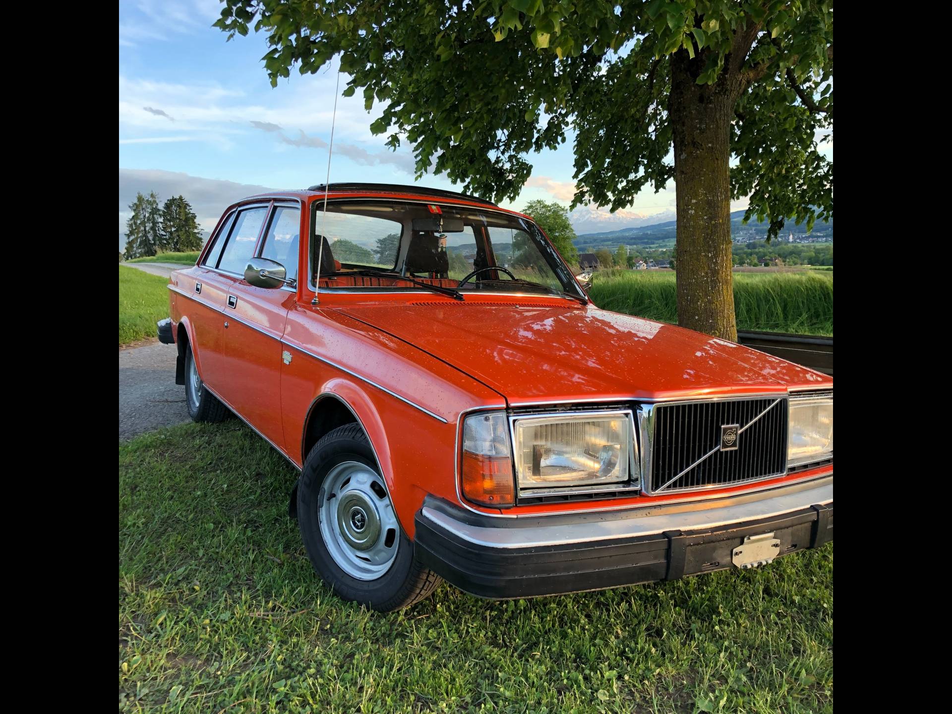 Volvo 264 Classic Cars for Sale - Classic Trader