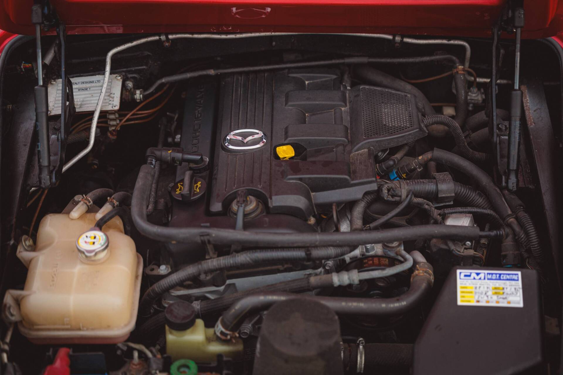 Te koop: Healy Enigma (2017) aangeboden voor € 16.389