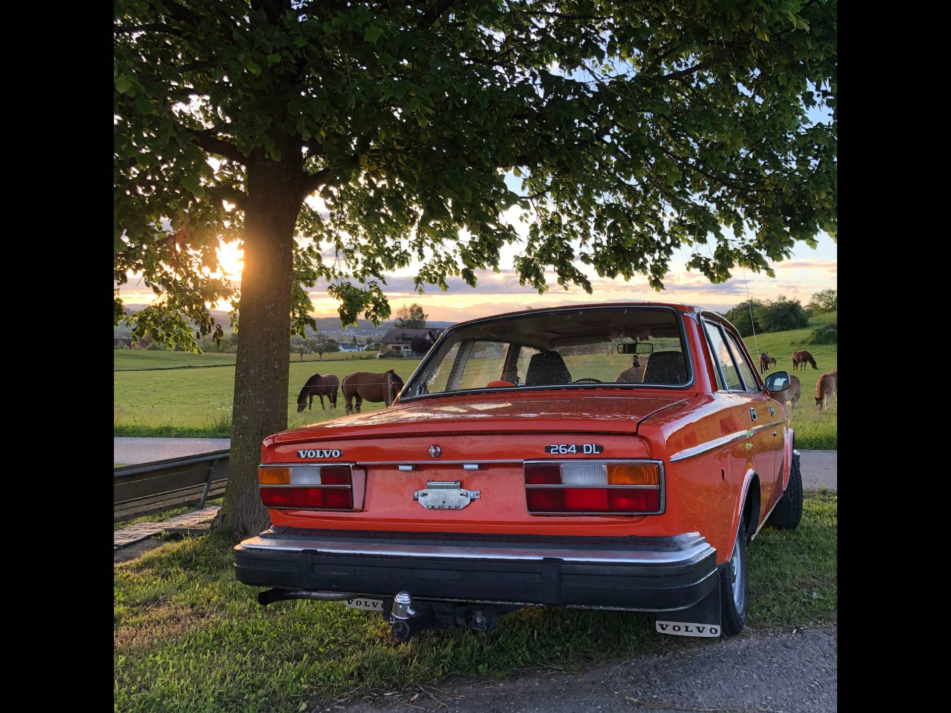 Volvo 264 Classic Cars for Sale - Classic Trader