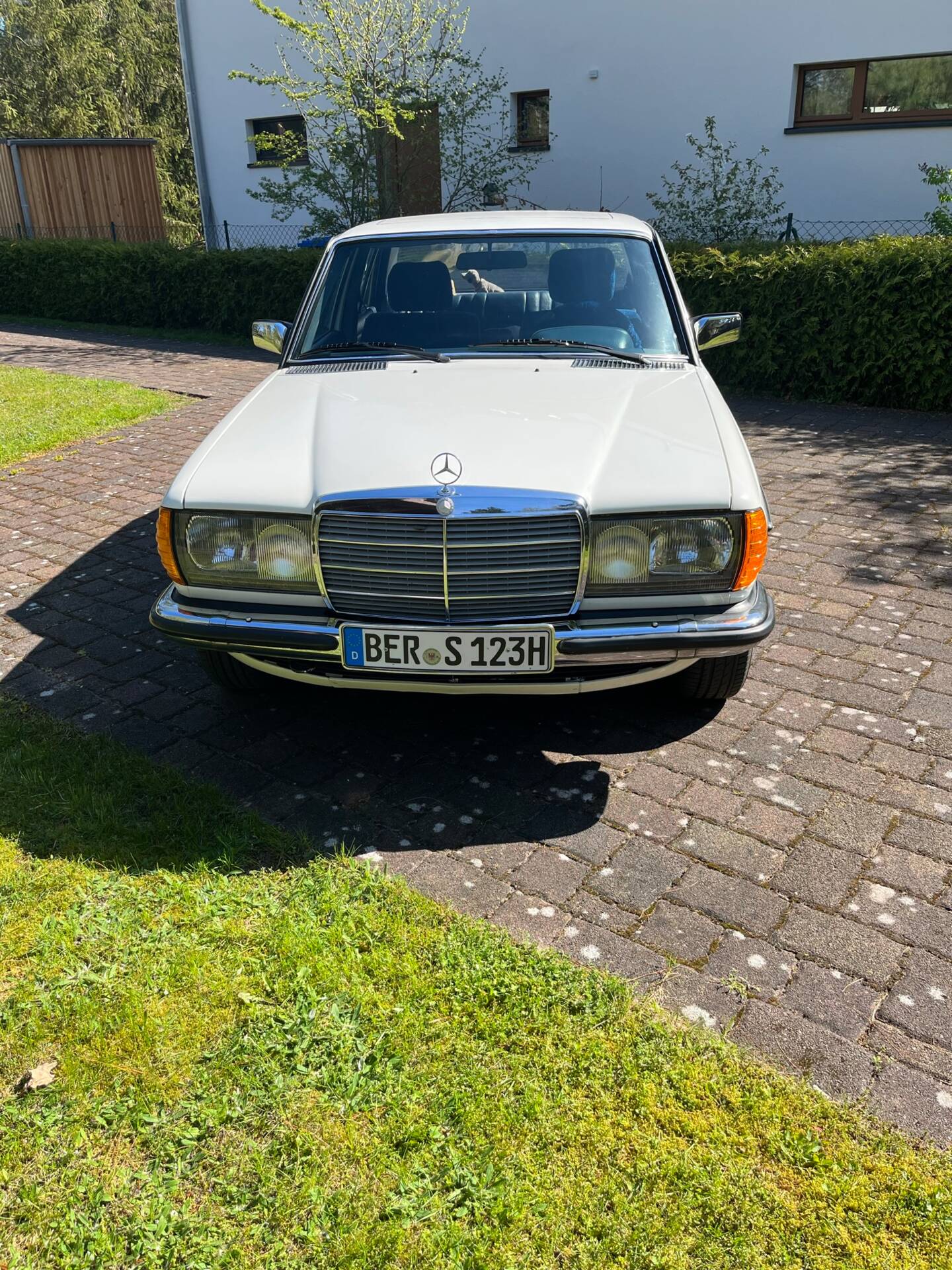 Mercedes-Benz 123 Classic Cars for Sale - Classic Trader