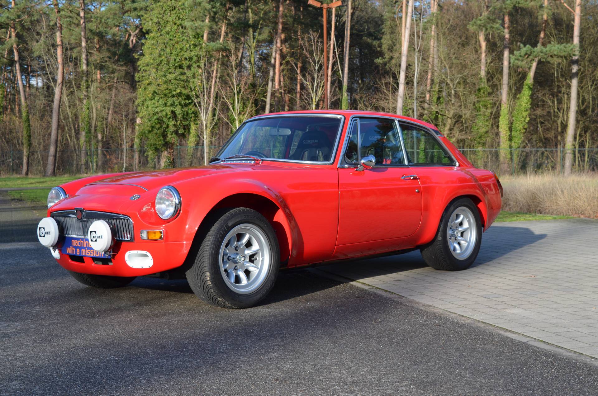 MG MGB GT V8 (1979) in vendita a 33.000