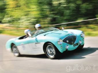 Austin-Healey classique de collection à acheter et à vendre