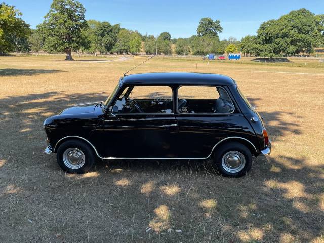 Austin Mini Classic Cars for Sale - Classic Trader
