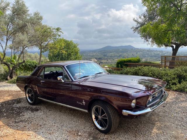Ford Mustang Classic Cars for Sale - Classic Trader