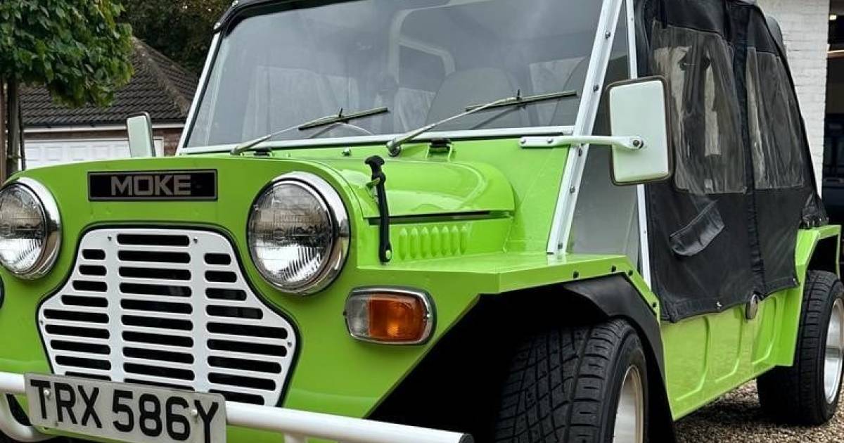 Mini Moke (1982) in vendita a Prezzo su richiesta