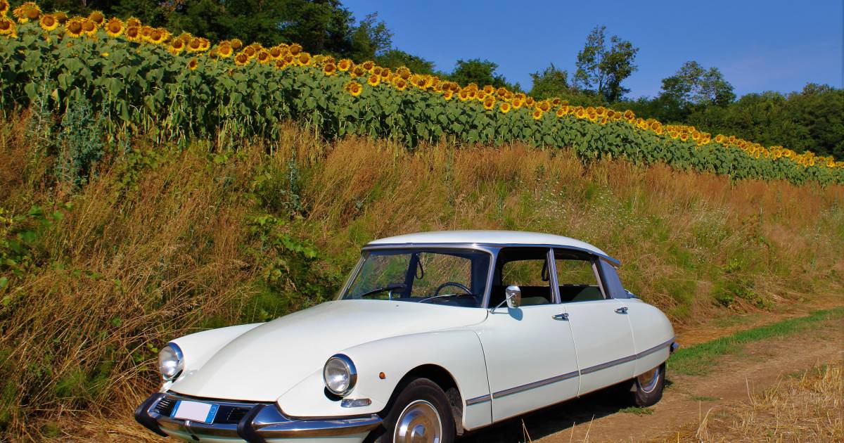 French Classic Cars for Sale - Classic Trader