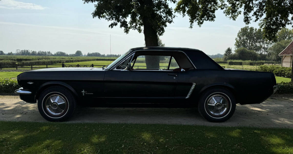 Ford Mustang d'epoca in vendita - Classic Trader