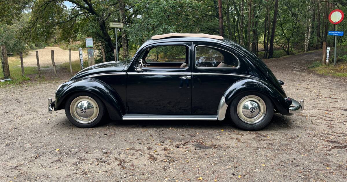 For Sale: Volkswagen Beetle 1200 Standard "Oval" (1954) offered for $46,452