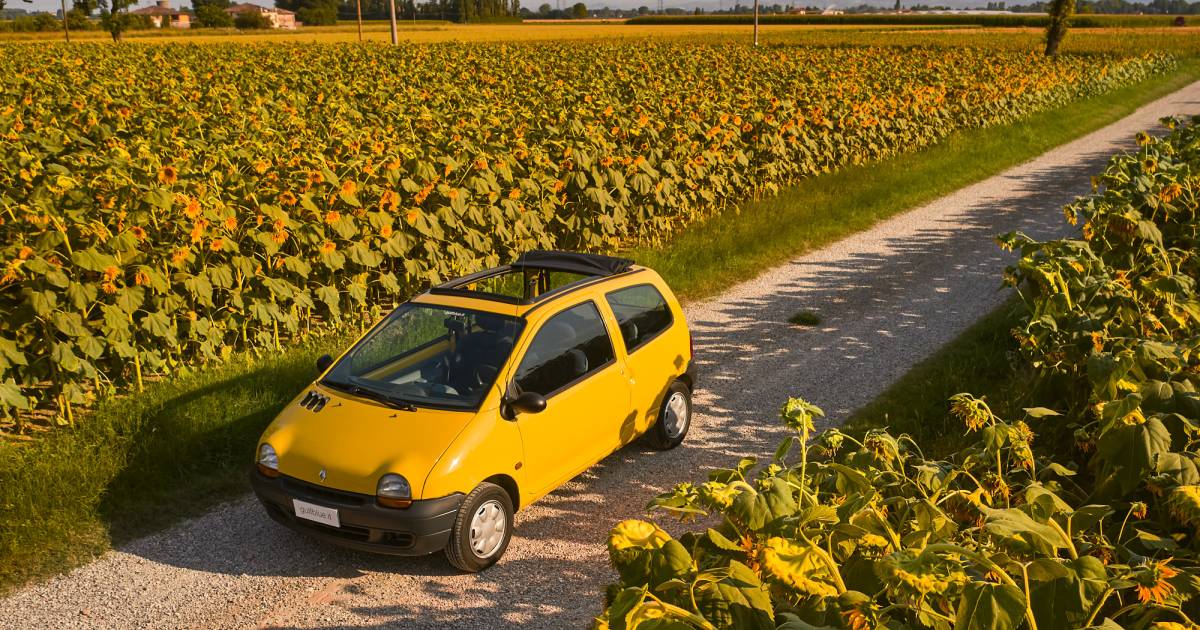 Renault Twingo Classic Cars for Sale - Classic Trader