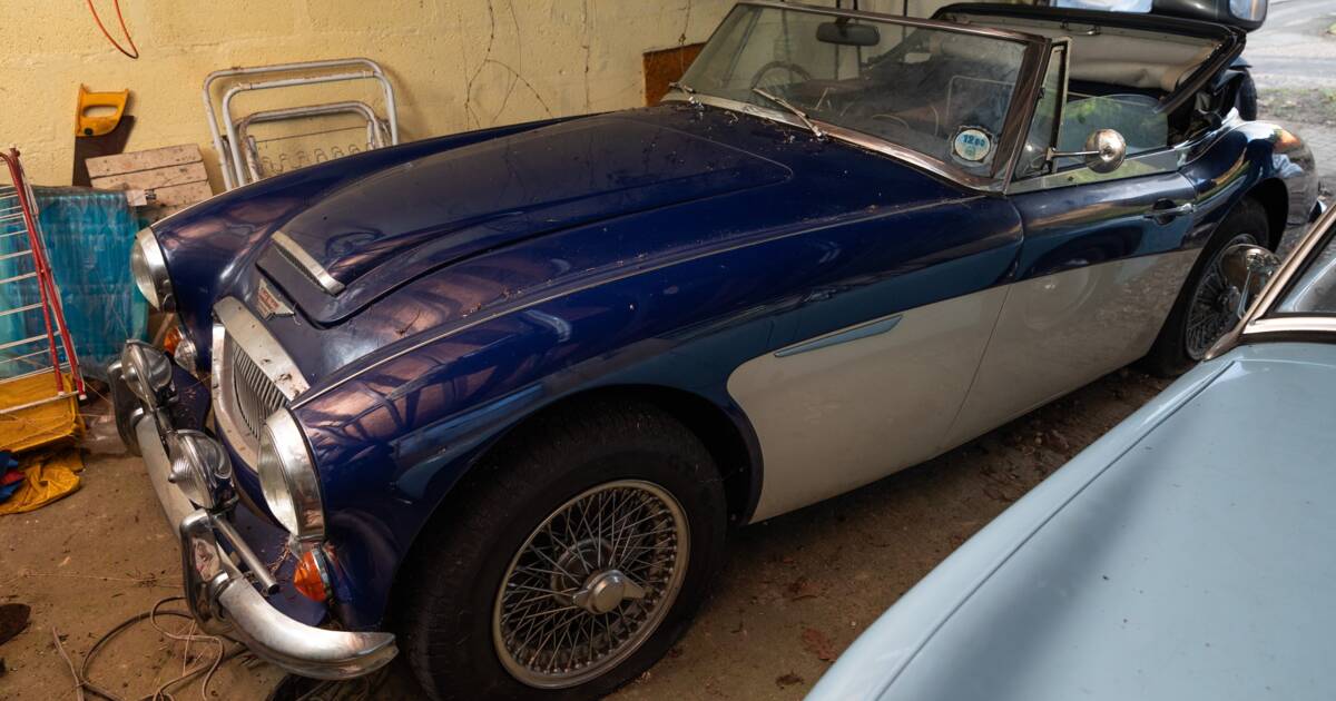 Zu Verkaufen: Austin-Healey 3000 Mk III (BJ8) (1965) angeboten für ...